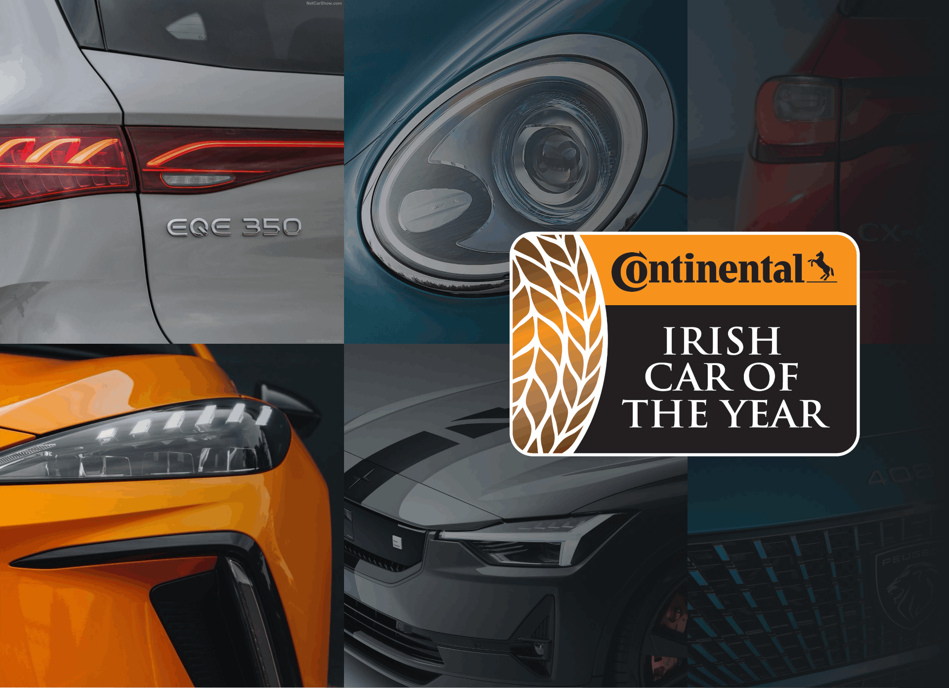 EV's Make up Majority of Ireland's 2024 Car of the Year Candidates - EV ...